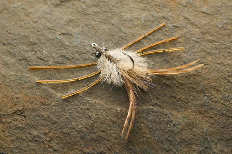 The Five Best Bonefish Flies – SSFlies