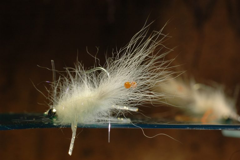 Mantis Shrimp – SSFlies