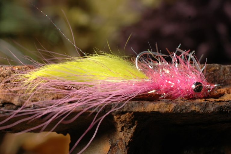 Electric Chicken – SSFlies