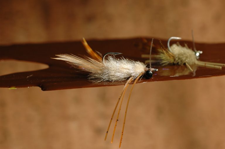Choosing Permit Flies – SSFlies